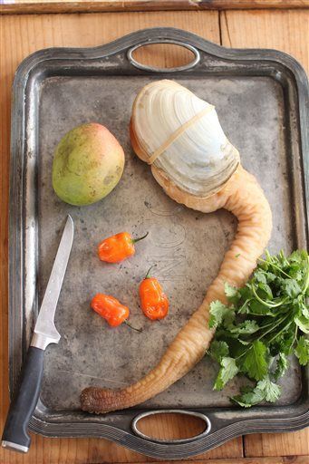 Tween-worthy humor aside, geoduck clams make a mean dinner | Lifestyles ...