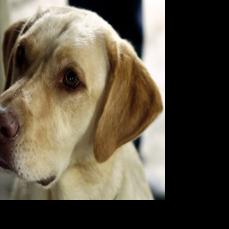 Photos: Jake Look-Alike Contest