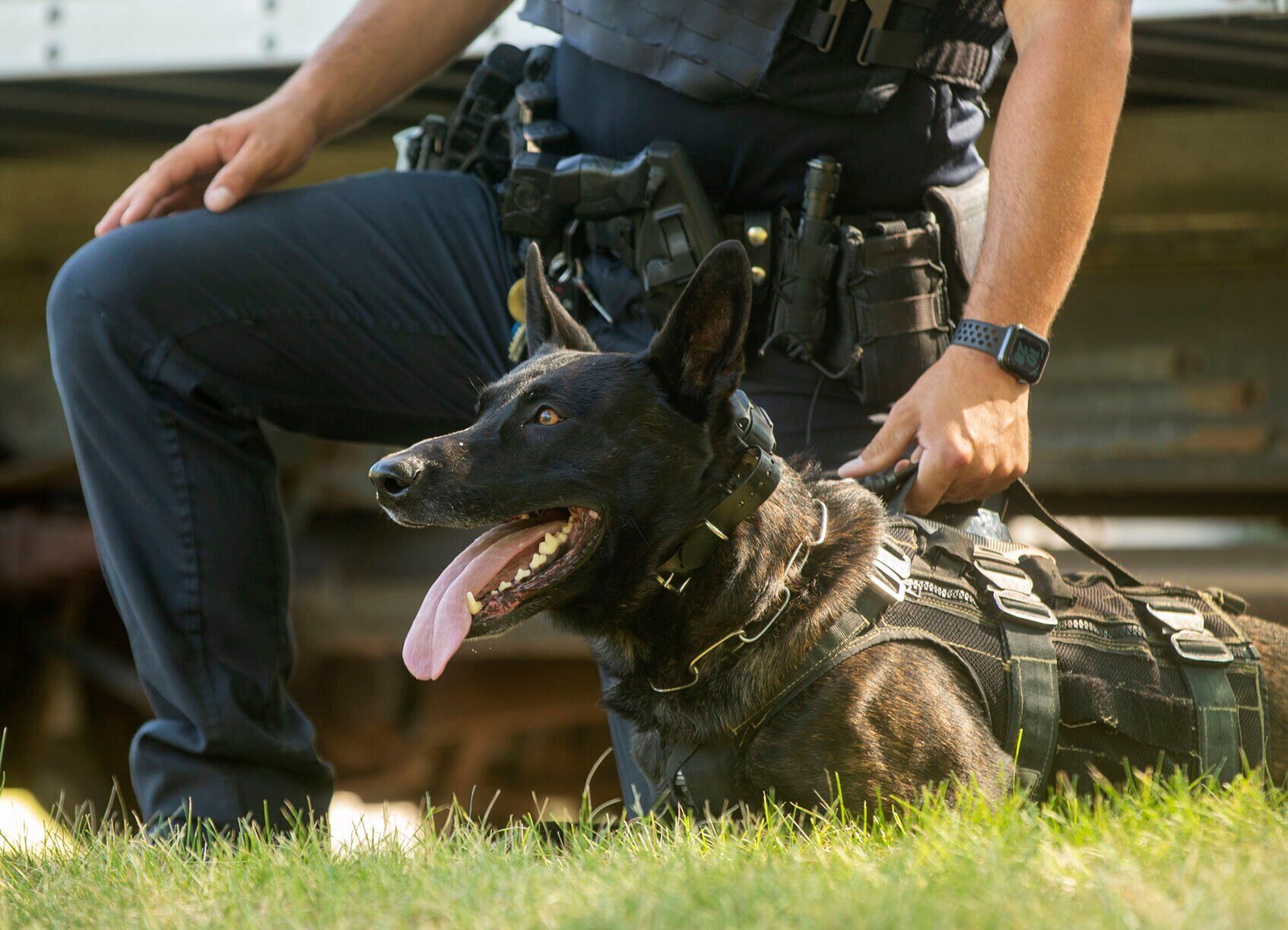 Retired Council Bluffs Police K-9 Rudy, a Medal of Valor recipient ...