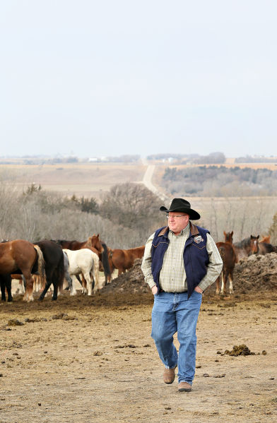 National Finals Rodeo a dream job for Sutherland, Iowa, man | Local ...