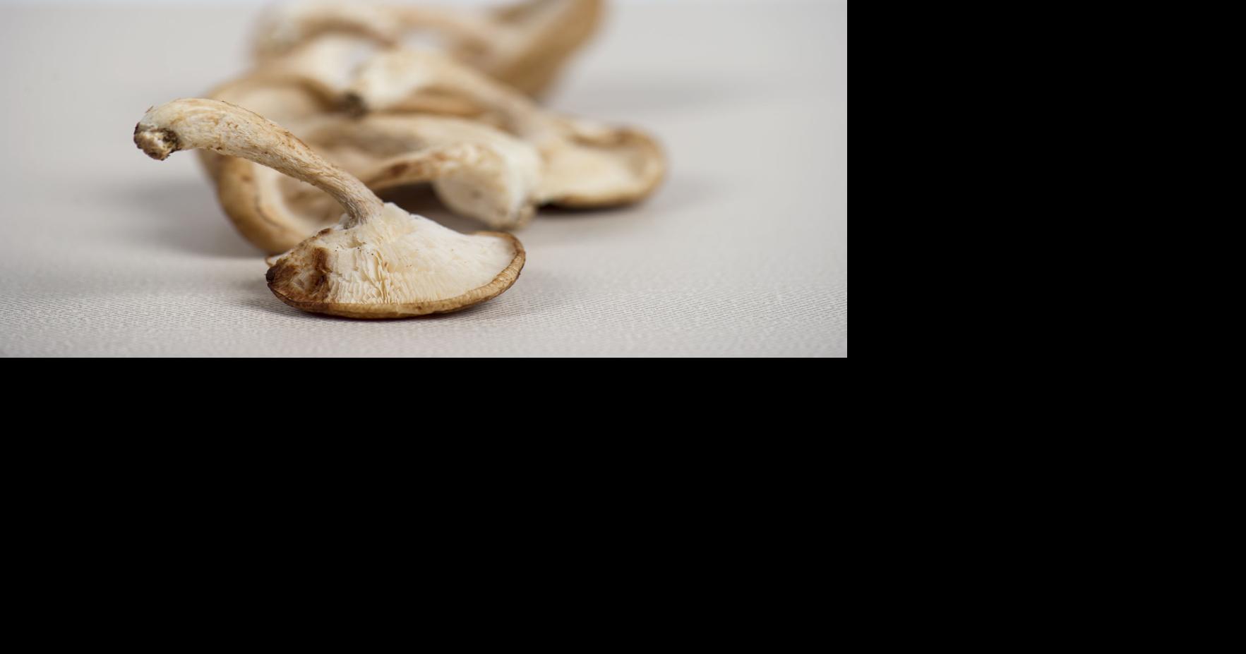 Q. How much room is needed for fungi to grow?