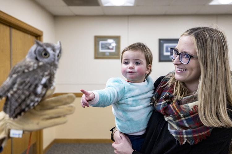 Screech owl named Lucia is Dorothy Pecaut Nature Center's newest ambassador