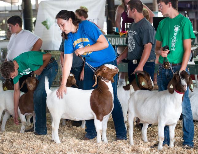 GALLAGHER: Live, learn and keep growing the goat herd