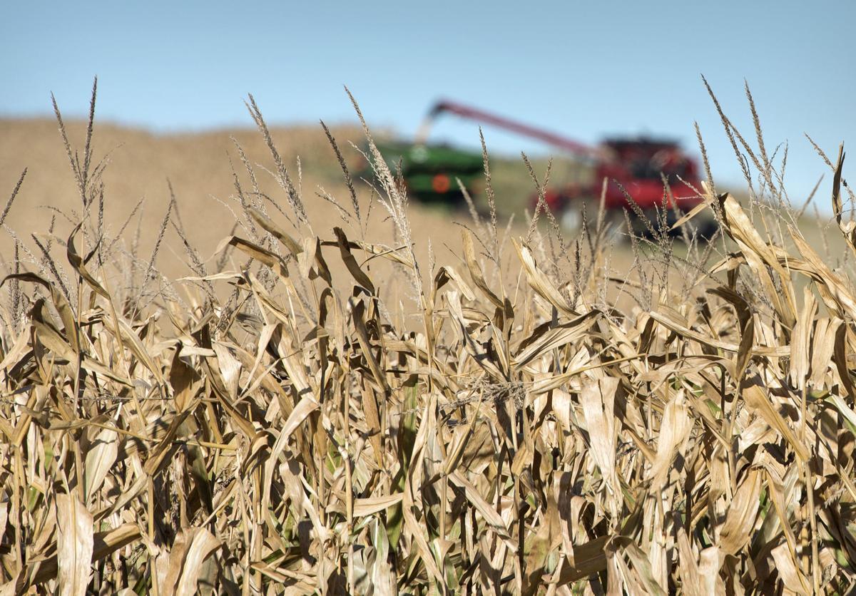 Mixed bag for farmland values in Northwest Iowa