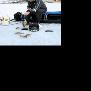 Some bluegill ice fishing secrets