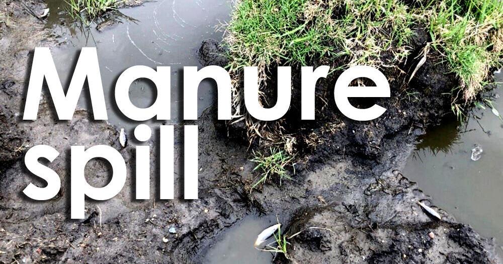 Manure spill enters tributary of Rock River near Doon