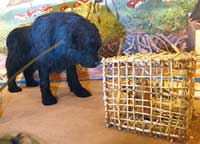 What Happened To Lewis Dog Seaman