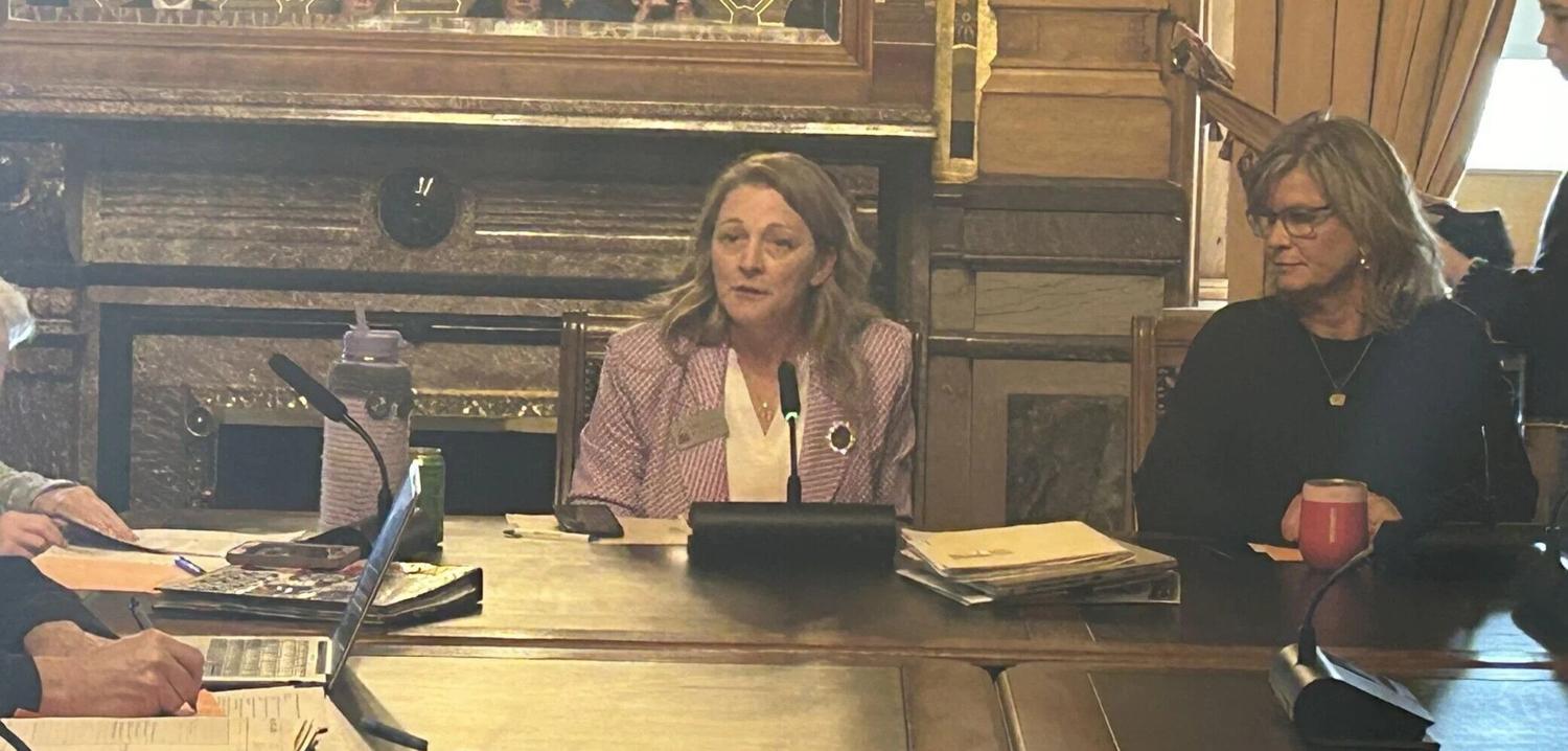 Iowa lawmakers consider banning minors from drag shows