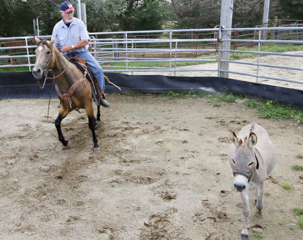 Ranch sorting champions keep practicing the sport