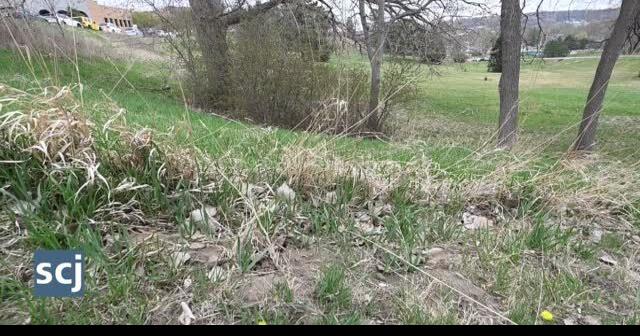 BCU aims to create outdoors classroom in "re-wilded" campus land