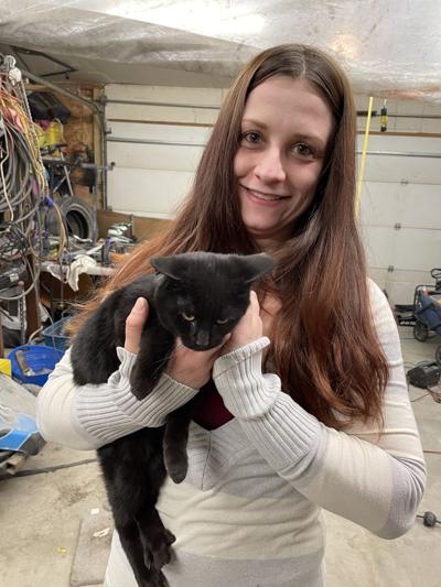 Five Questions with Alexandria Dreeszen of Save the Kitties