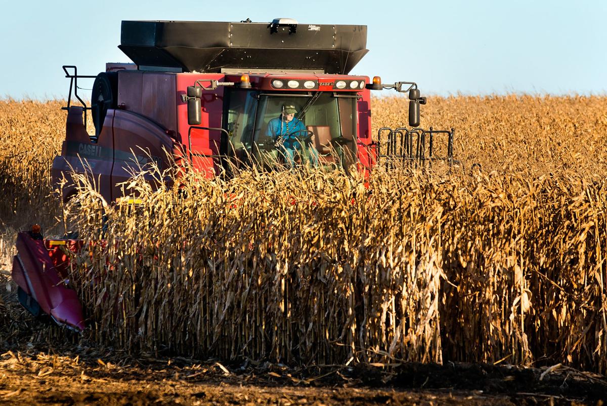 Northwest Iowa counties lead state in yields