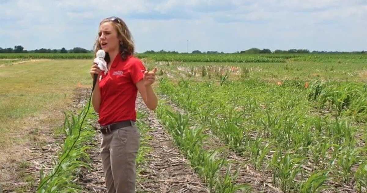 Agronomist from Northwest Iowa attracted to diversity of problems to solve
