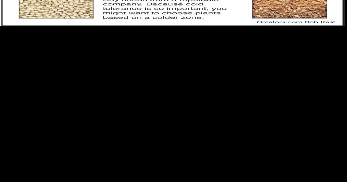 How to buy good vegetable seeds