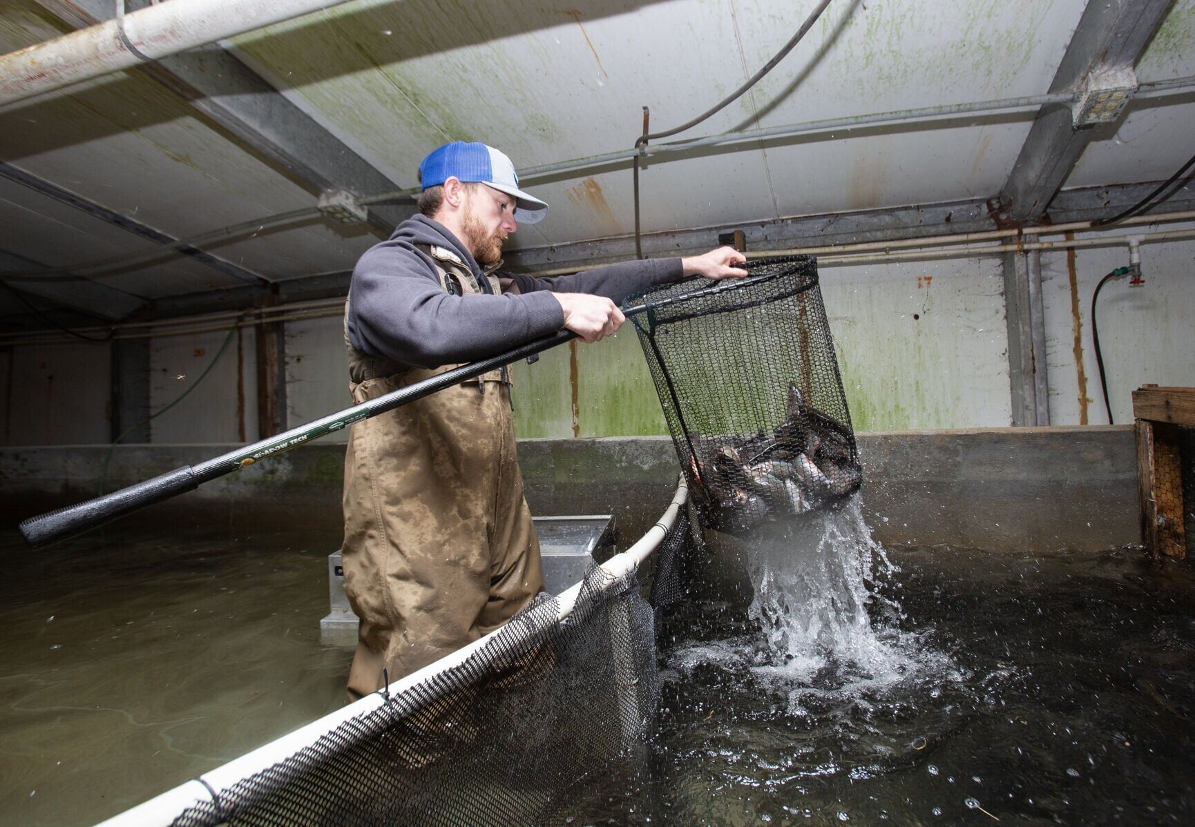 Flatwater Free Press: Nebraska fish and shrimp farmers swim against ...
