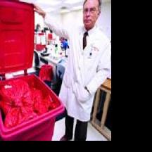 Body parts - Where do they put the ones they remove?