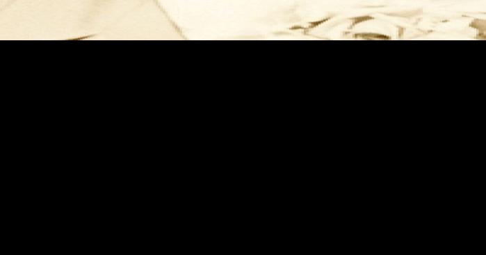 Violet Meyer's Instagram, Twitter & Facebook on IDCrawl