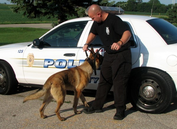 Meet Zeus, Sioux City's newest canine cop