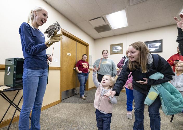 Screech owl named Lucia is Dorothy Pecaut Nature Center's newest ambassador