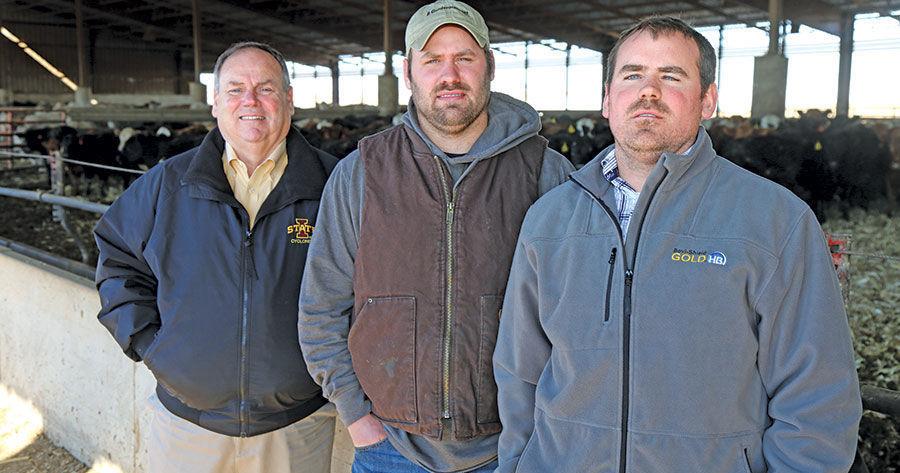 Holstein farmer-feeders continue to build operation