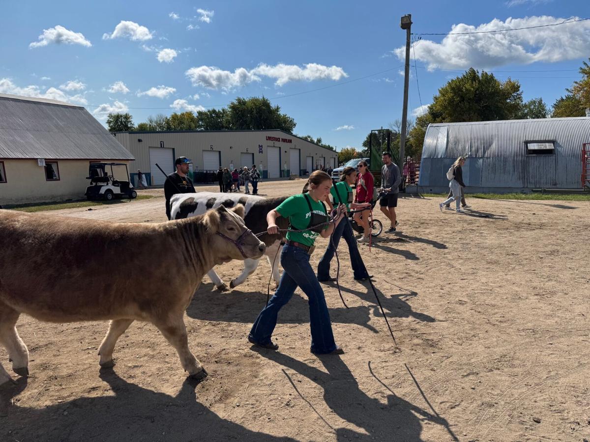 PHOTOS: 2025 Clay County Fair