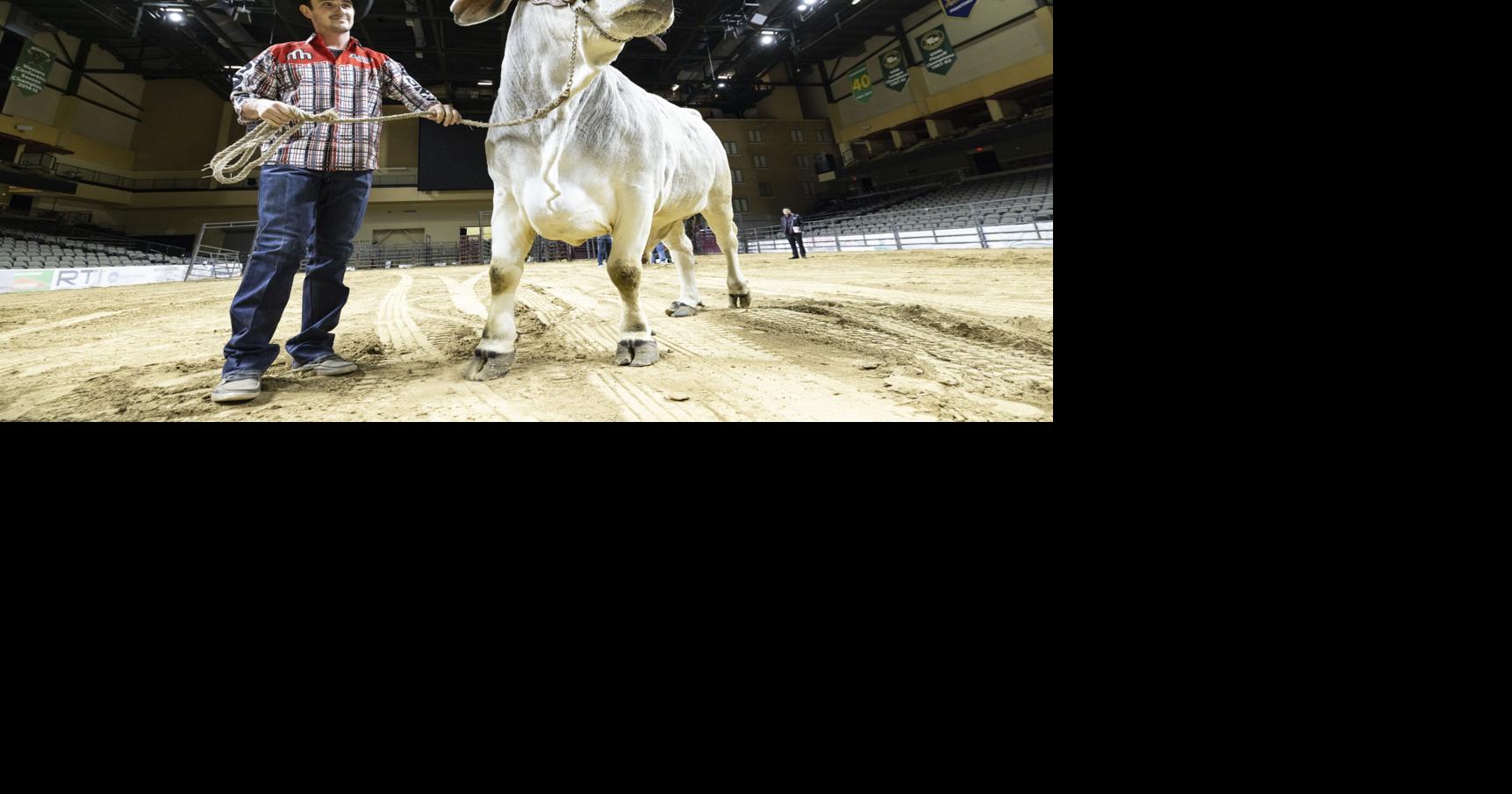 Cinch World's Toughest Rodeo ropes in plenty of fan-friendly fun to the ...