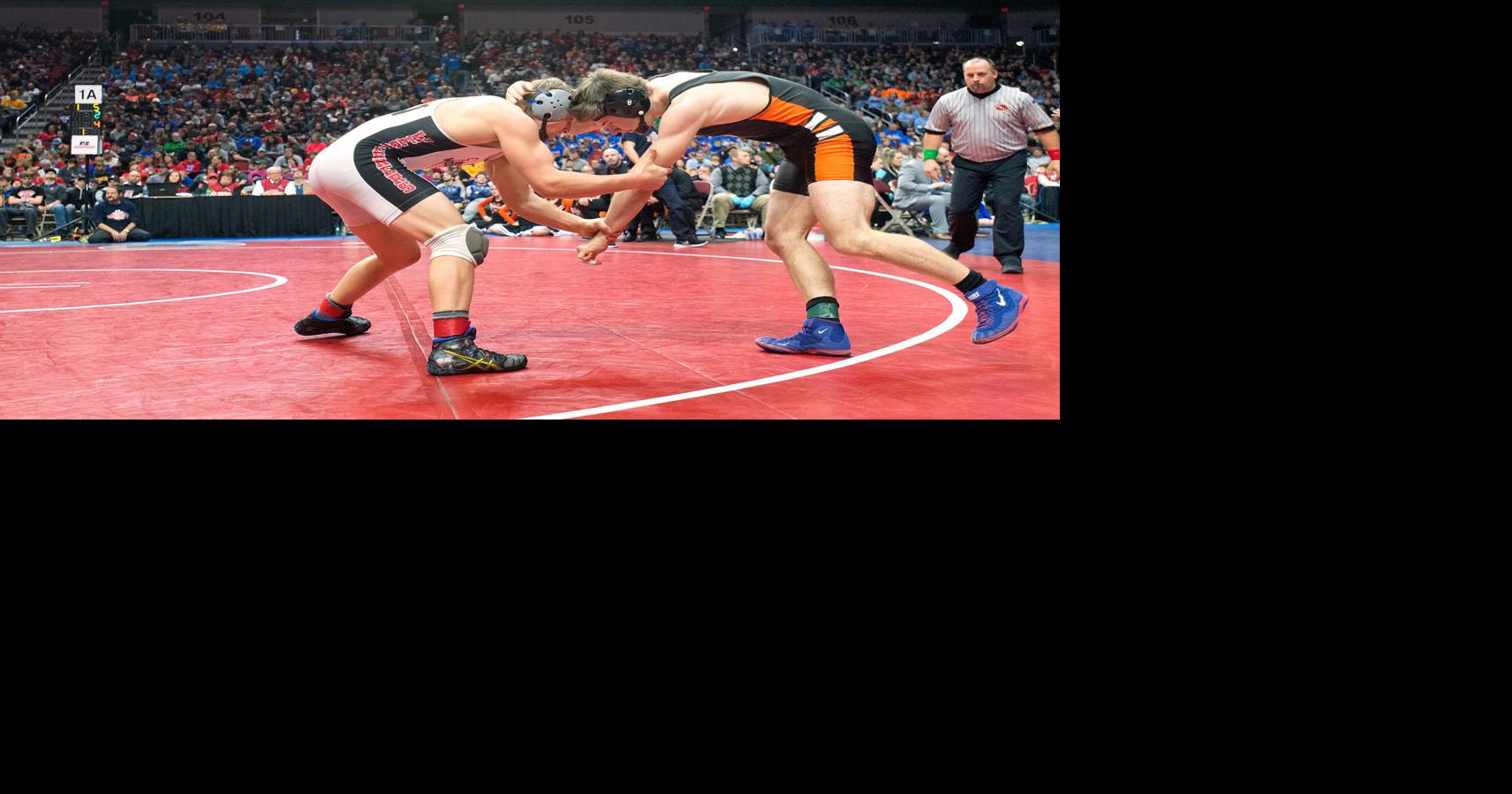 Iowa state wrestling tourney to be seeded