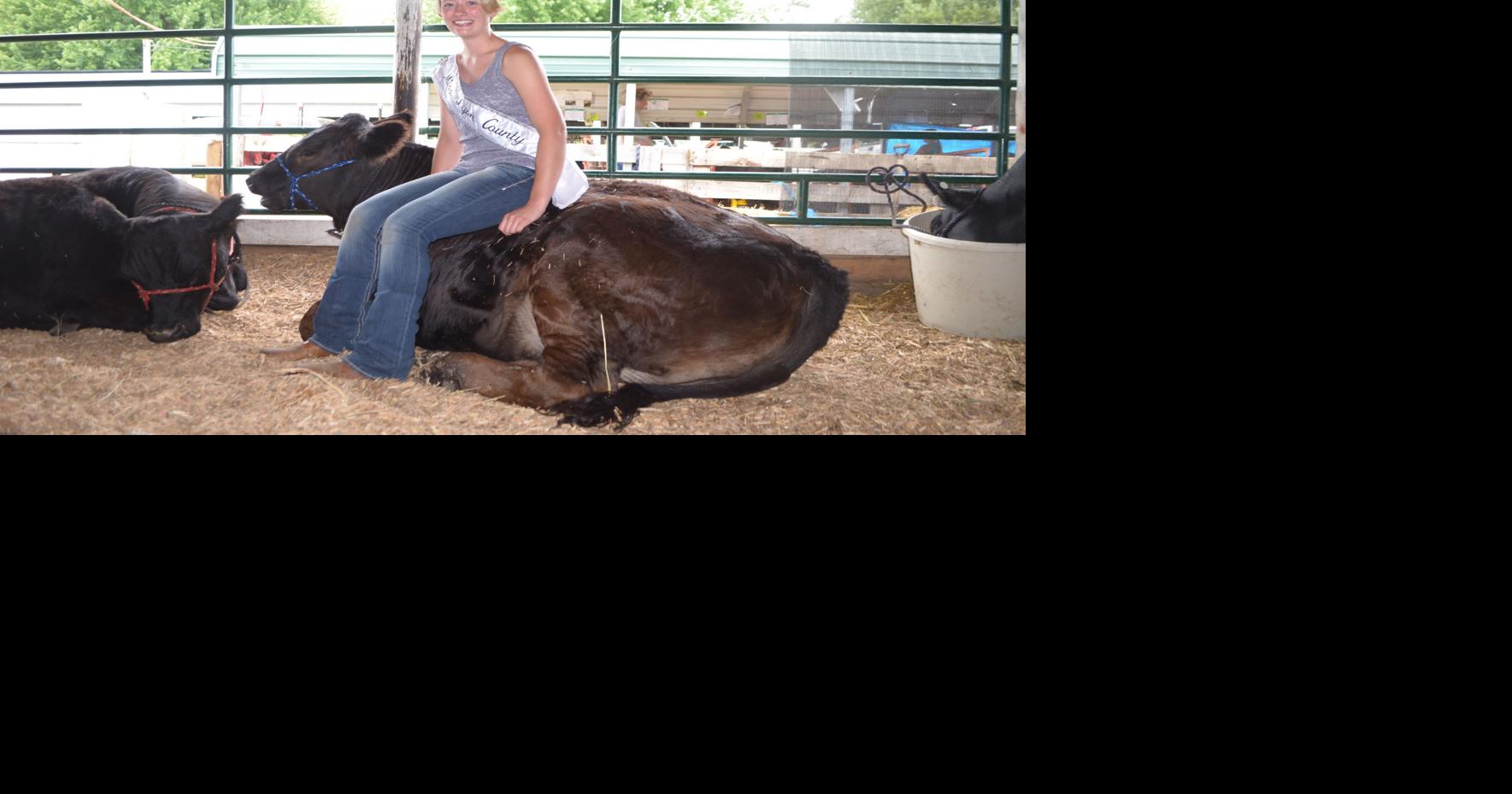 GALLAGHER: Queen stays the course on volatile cattle market