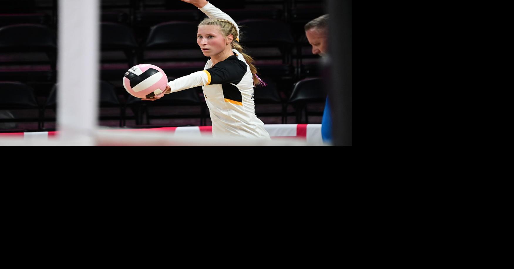 State-qualifiers represented on all-state volleyball teams
