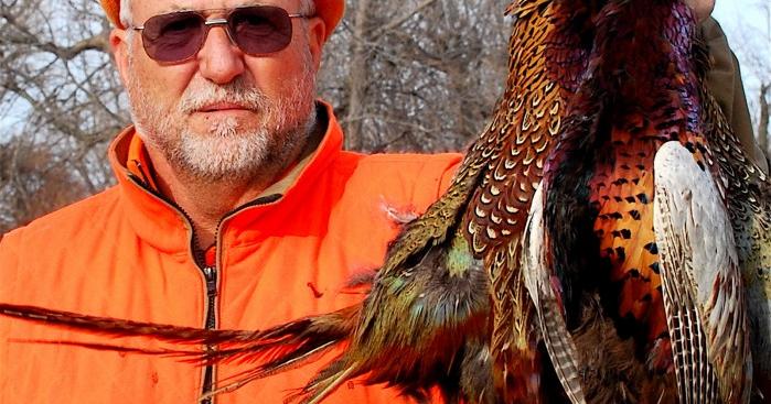 Outdoors: Habitat creates pheasant hunting paradise