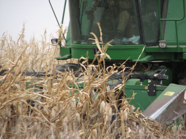 Tornado damage slows Northwest Iowa harvest