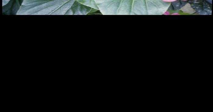 Experience 'A Change of Scenery' with Jan Riggenbach