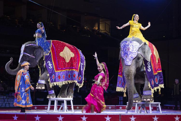 72nd Abu Bekr Shrine Circus returns to Tyson Events Center