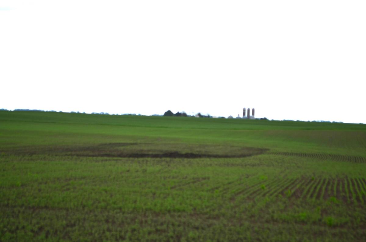 David Schultz died of hypothermia, meth intoxication