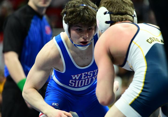 State wrestling: Lewis, Roos crowed as undefeated champions