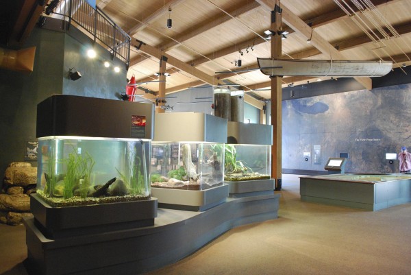 History flows at Mississippi River Museum