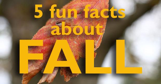 5 fun facts about fall