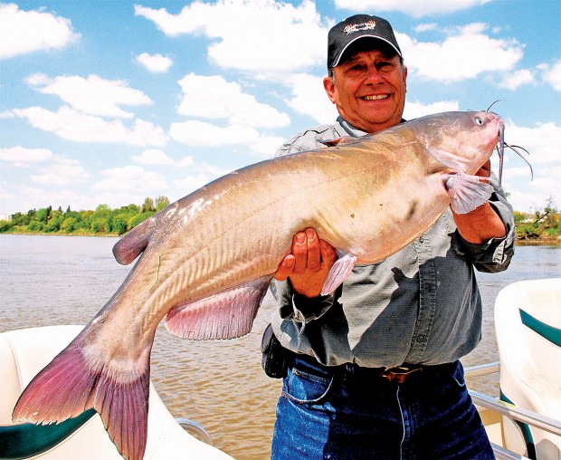 Myhre: Where gigantic channel cats swim