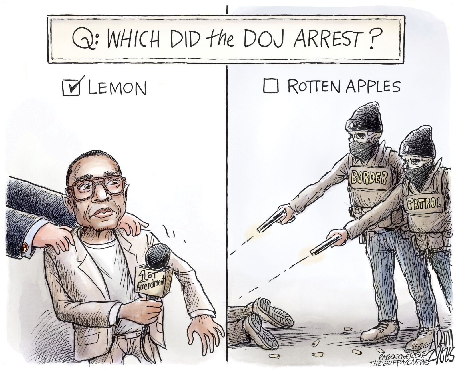 7 political cartoons dissect the arrest of Don Lemon