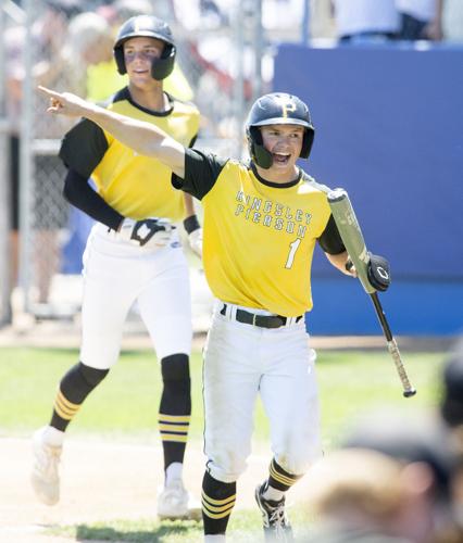 Remsen St. Mary's takes care of business in state baseball opener over ...
