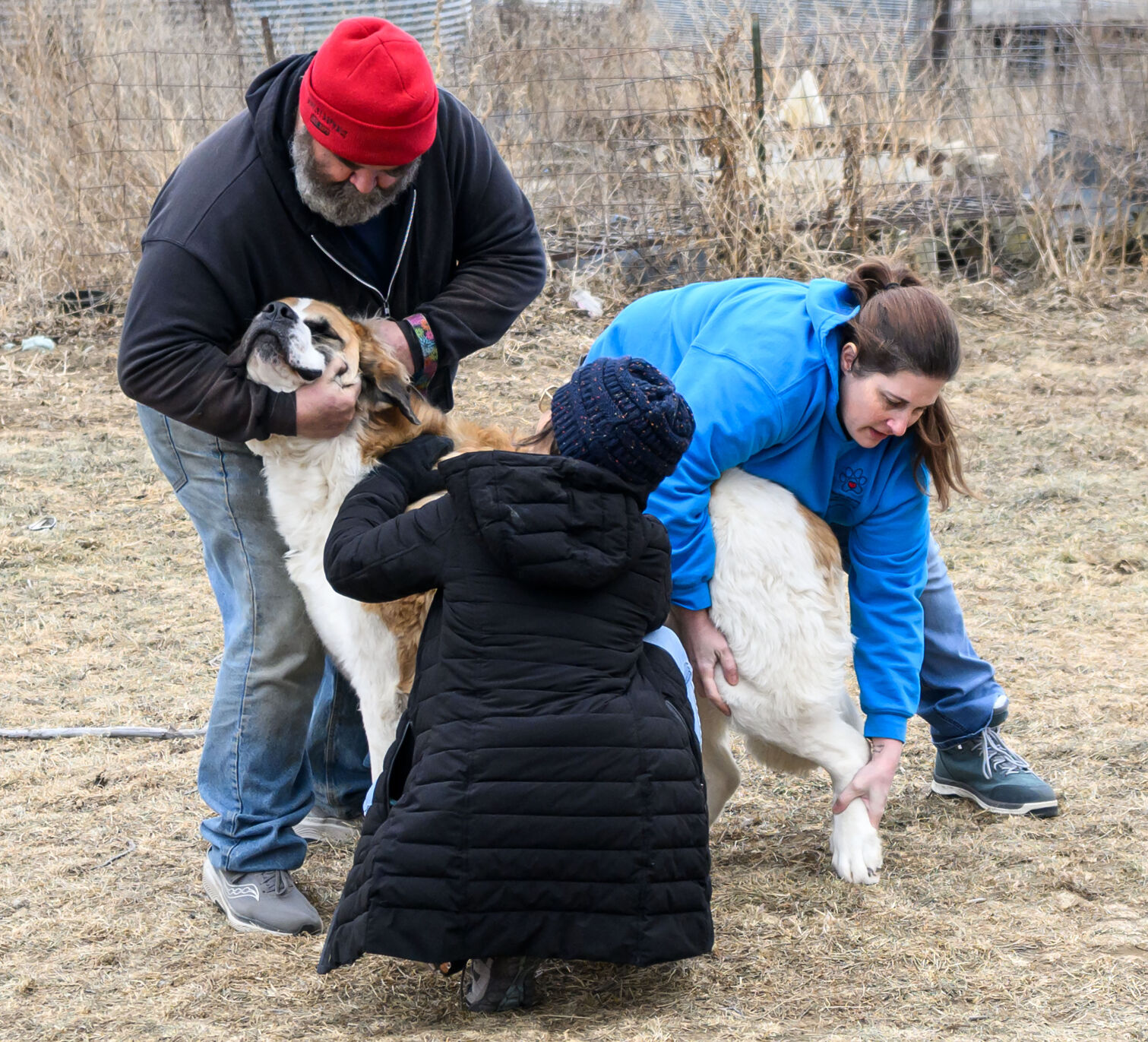 Le Mars vet takes stress out of pet care with mobile clinic