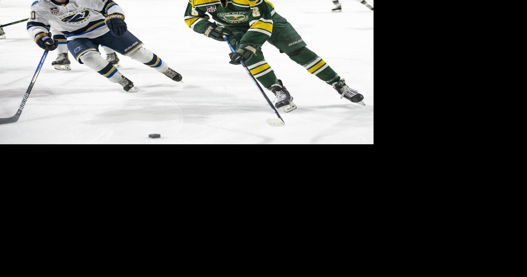 Shai Buium, Daniel Laatsch and Owen McLaughlin taken in NHL Draft