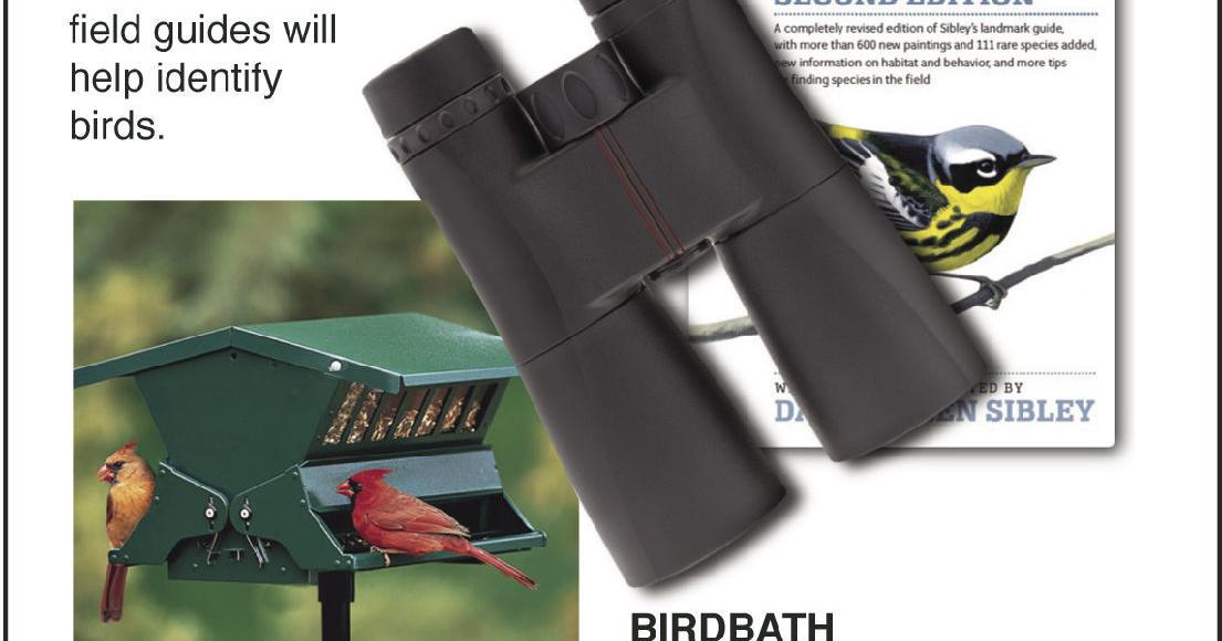 How to identify birds you see in your yard