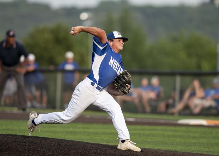Remsen-St. Mary's baseball clinches spot at state after dominant win ...