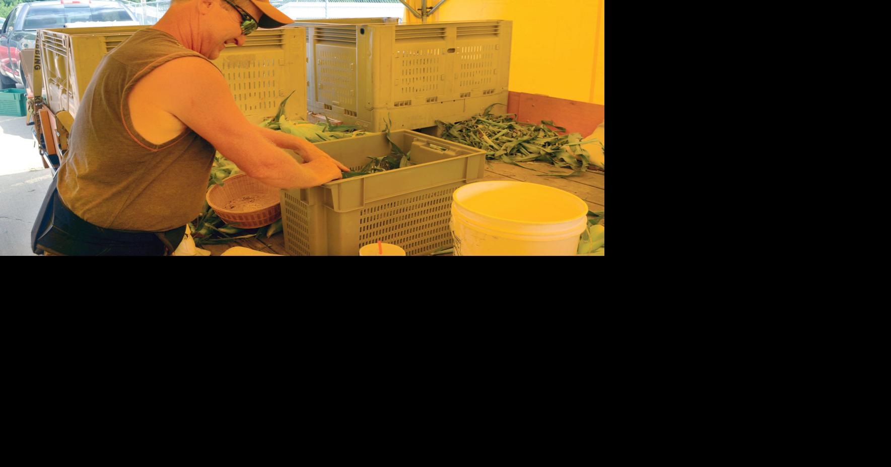 'Corn man' says sweet corn buyers tend to be loyal to certain vendors