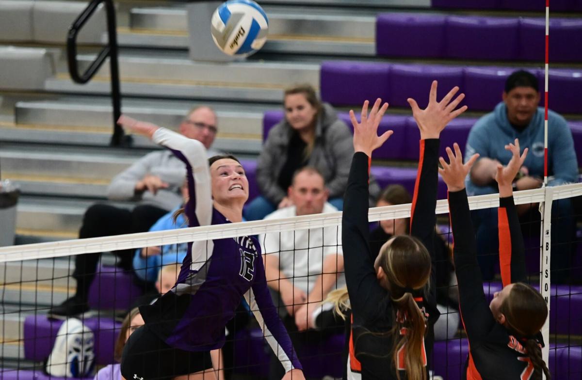 Dakota Valley, EP-J to meet in volleyball quarterfinals
