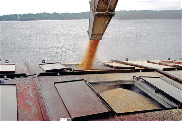 Bumper crop puts focus on exports