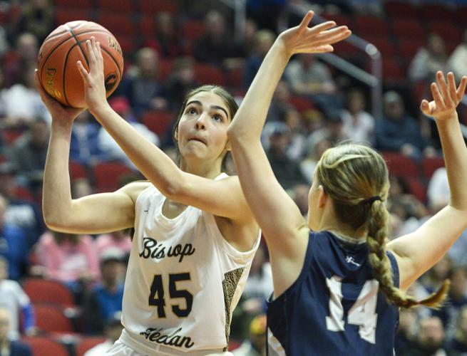 Iowa girls state bball preview: Heelan, Remsen, Westwood