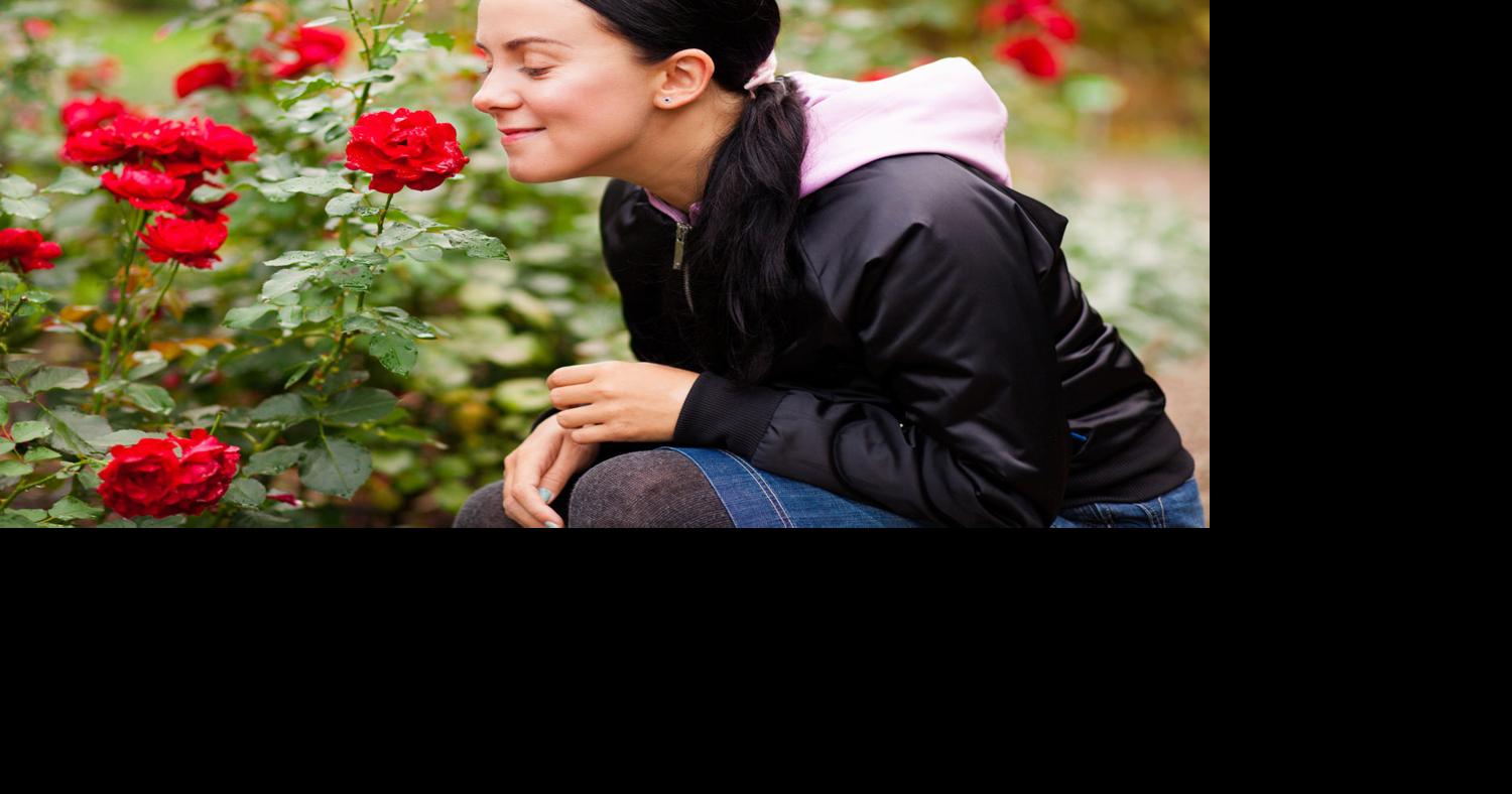 Team hopes to sniff out basics of mysterious sense of smell