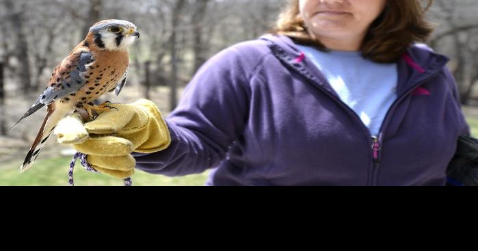 Raptor house takes flight, lands at nature center